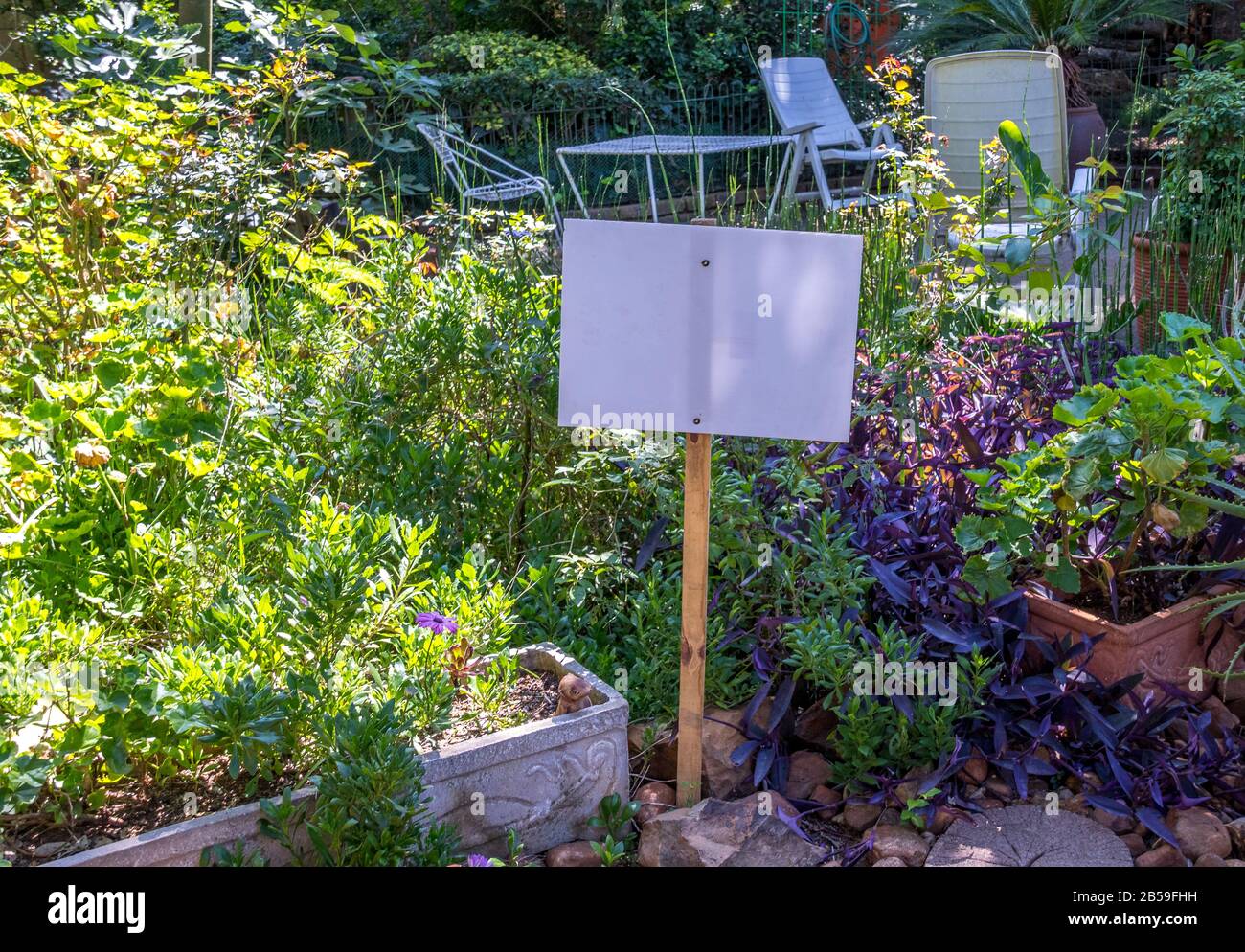 Blank white sign in a garden setting - insert own text image in ...