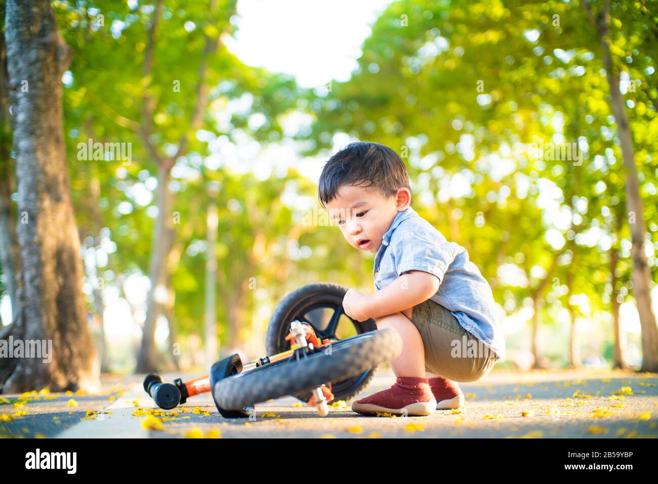 Asian boy falling balance bike accident on road in park tree forest outdoor activity Stock Photo ...