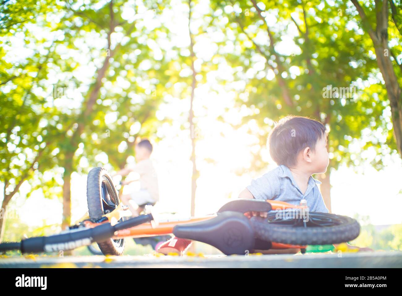Asian boy falling balance bike accident on road in park tree forest outdoor activity Stock Photo ...