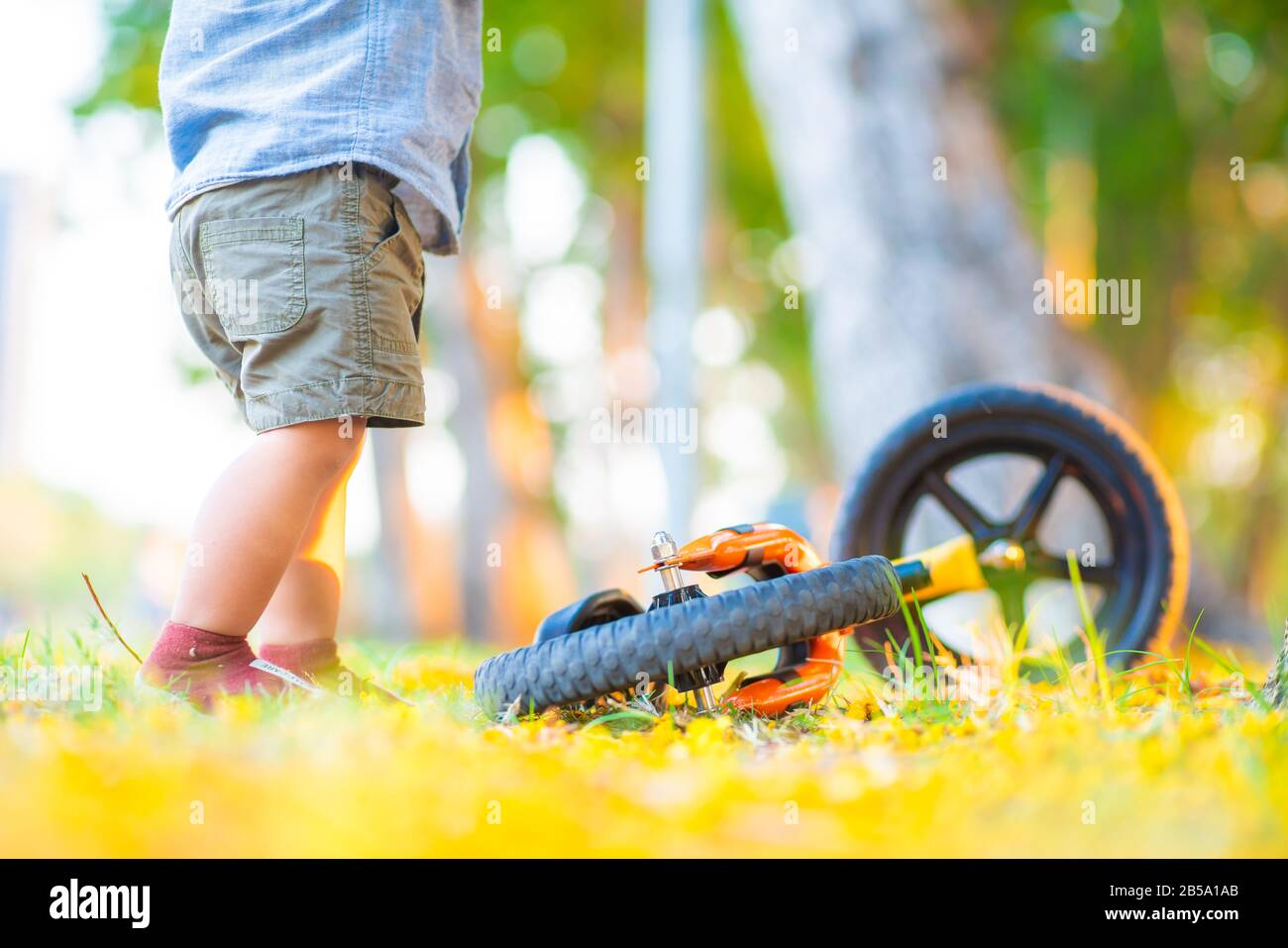 Asian boy falling balance bike accident on road in park tree forest outdoor activity Stock Photo ...