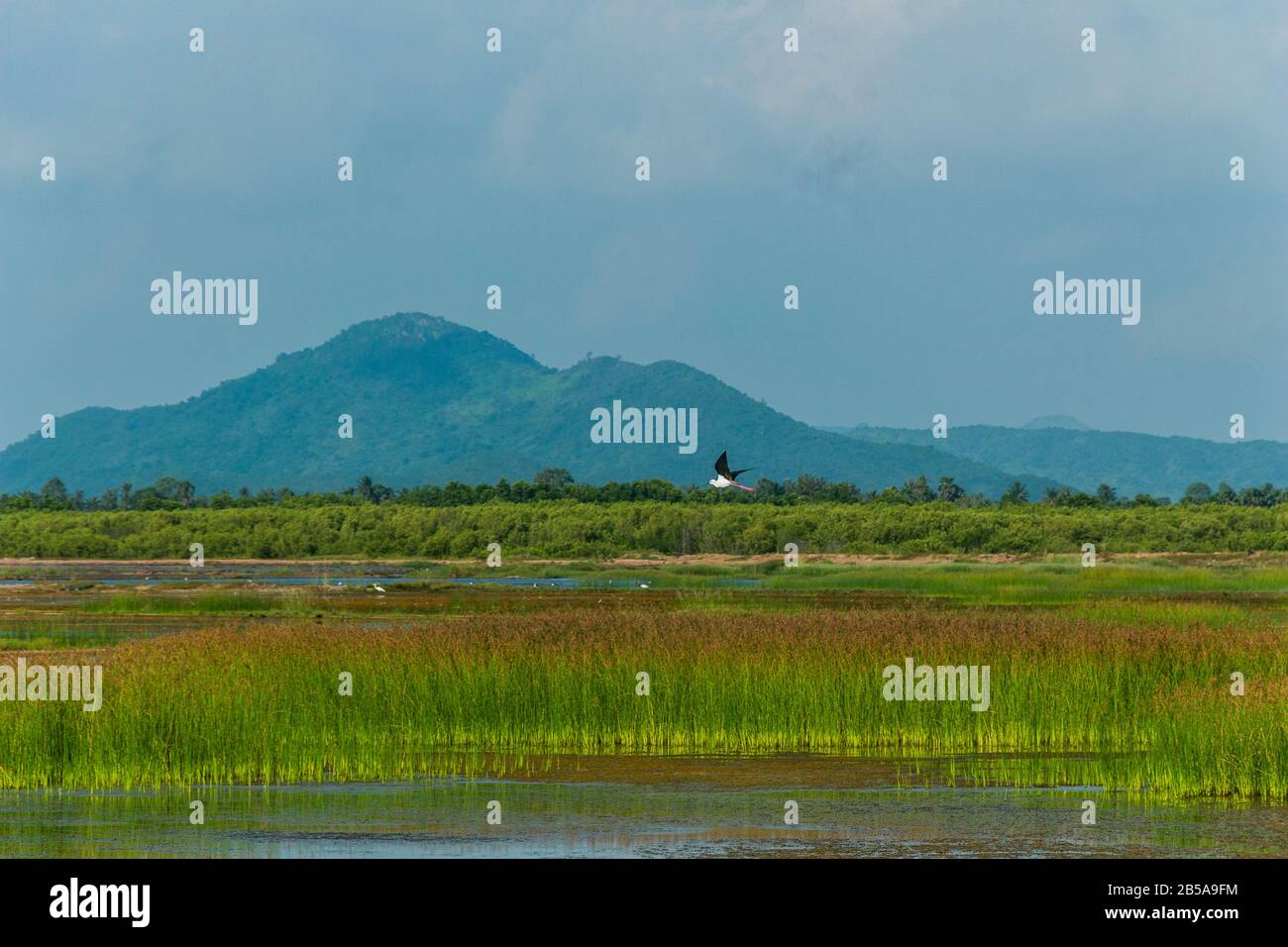 The Bokor Mountain National Park in Kampot, Cambodia Stock Photo - Alamy