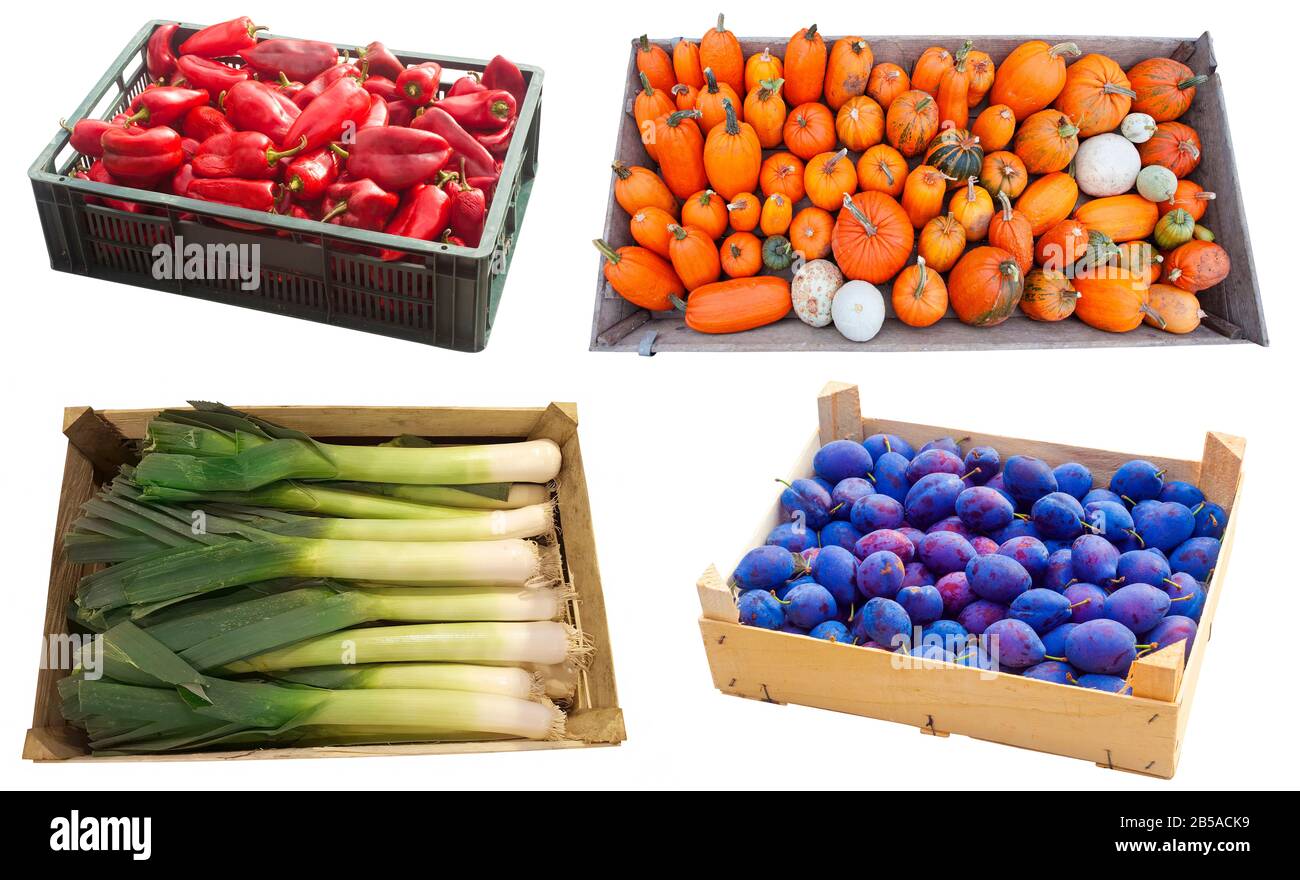 box of vegetable food. pepper, pumpkin, onion and plume boxes isolated ...