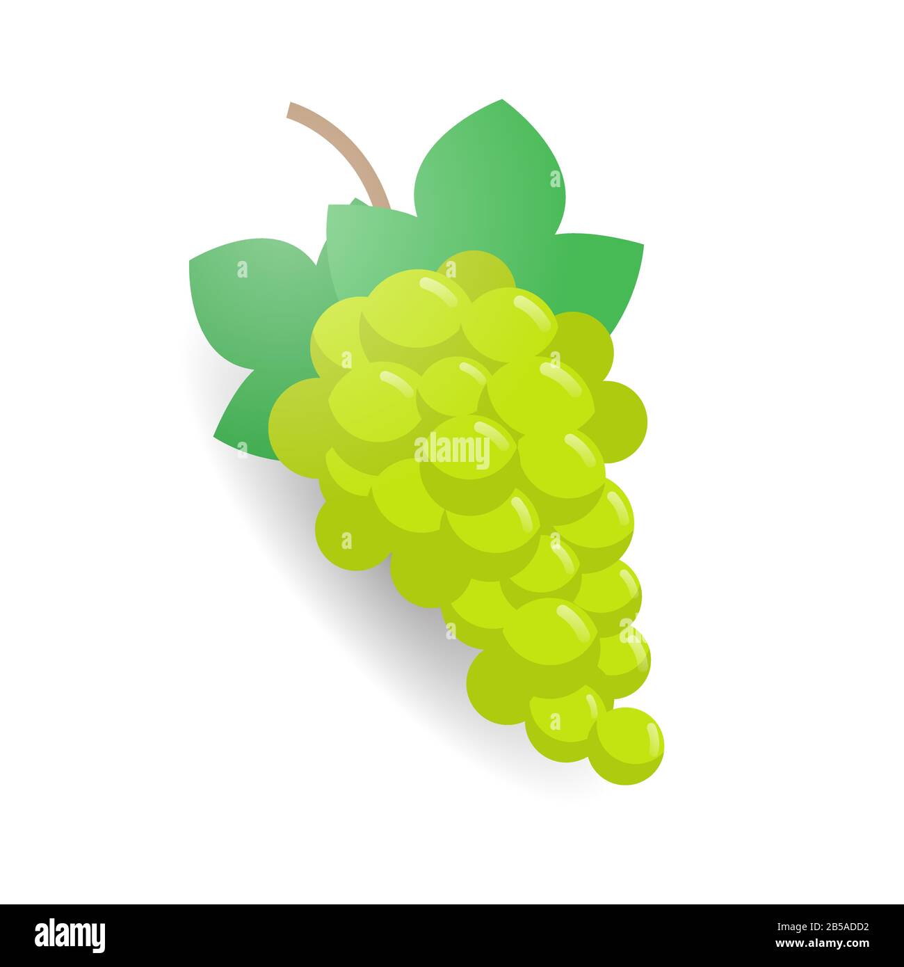 fresh juicy green grape branch icon tasty ripe fruit isolated on white ...