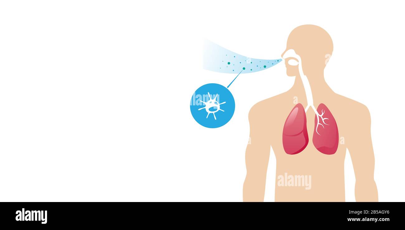 human body with lungs affected by virus cells bacteria and fungi into ...