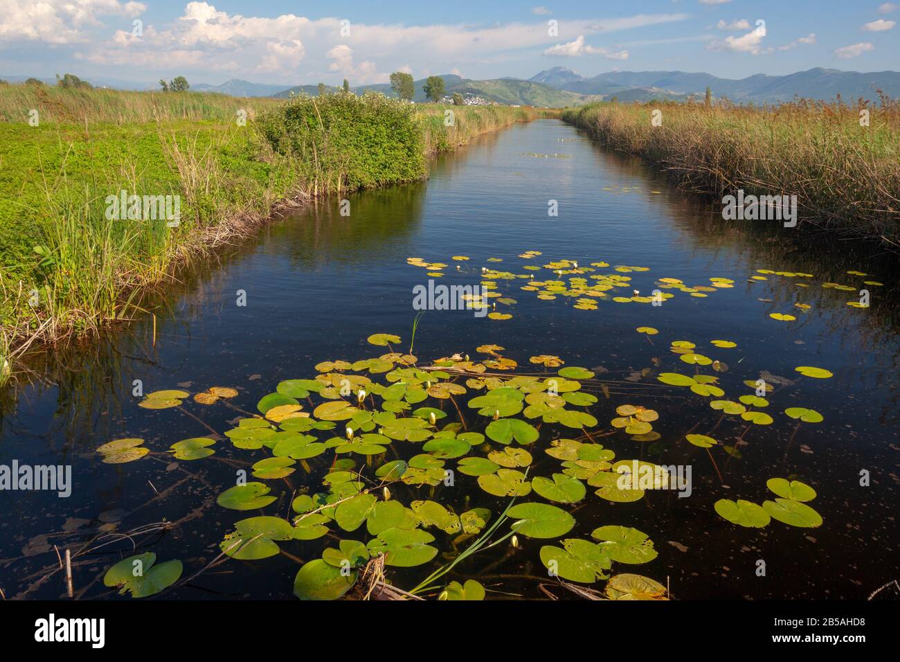 Norin hi-res stock photography and images - Alamy