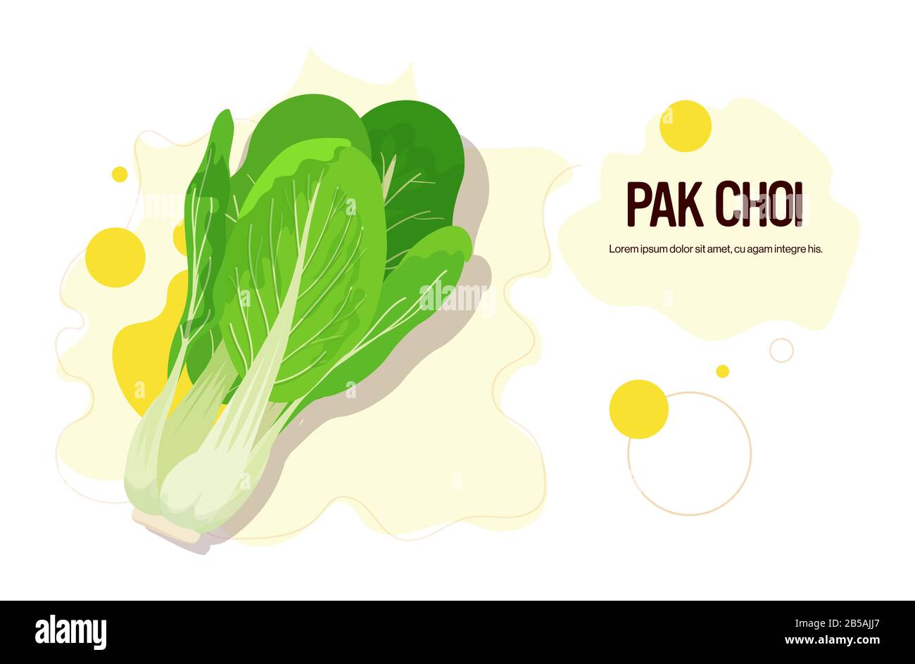 fresh green pak choi sticker tasty vegetable icon healthy food concept ...