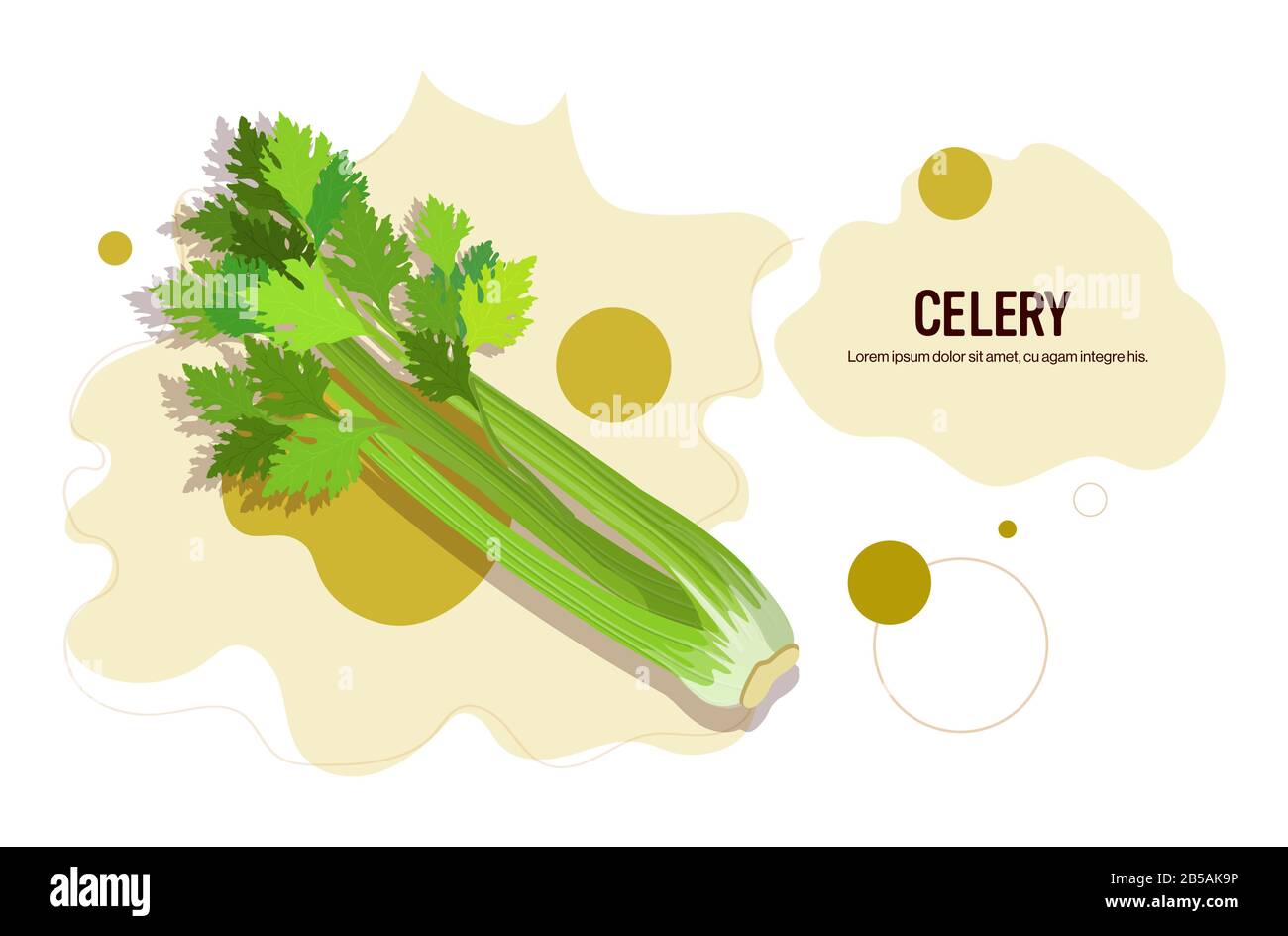fresh celery sticker tasty vegetable icon healthy food concept ...