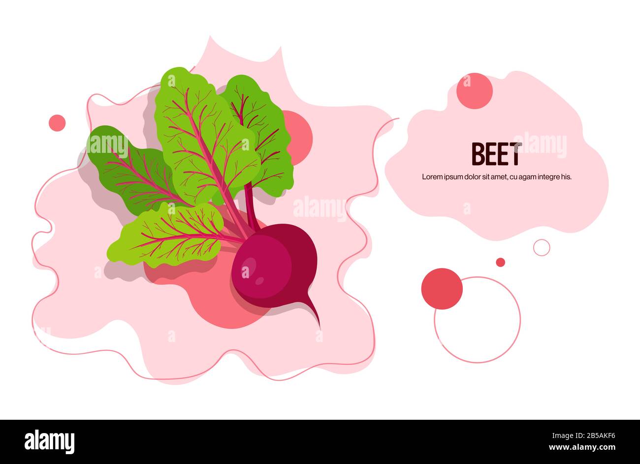 fresh beet sticker tasty vegetable icon healthy food concept horizontal ...