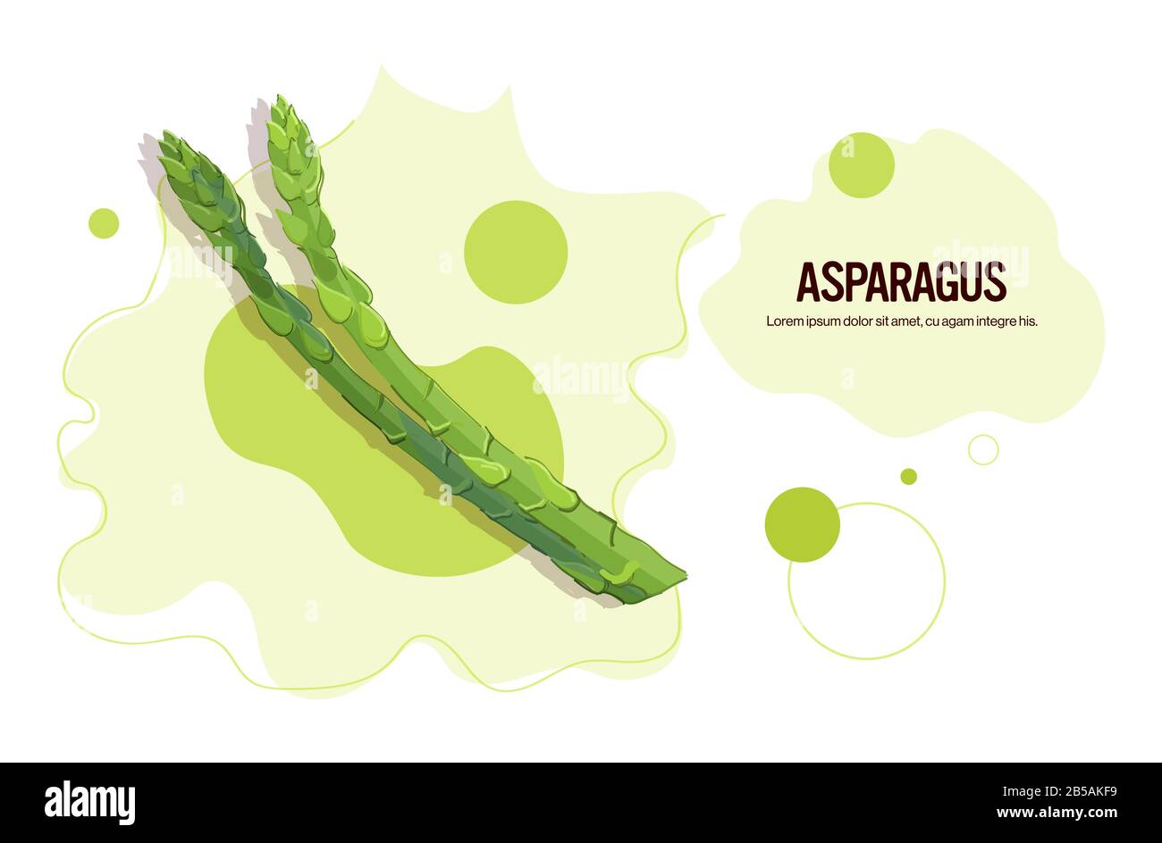 fresh asparagus sticker tasty vegetable icon healthy food concept ...
