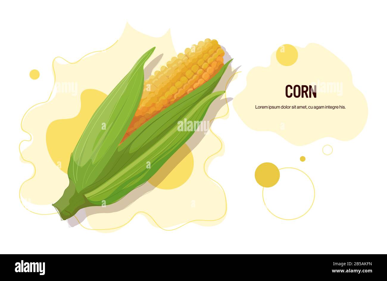 fresh corn sticker tasty vegetable icon healthy food concept horizontal ...