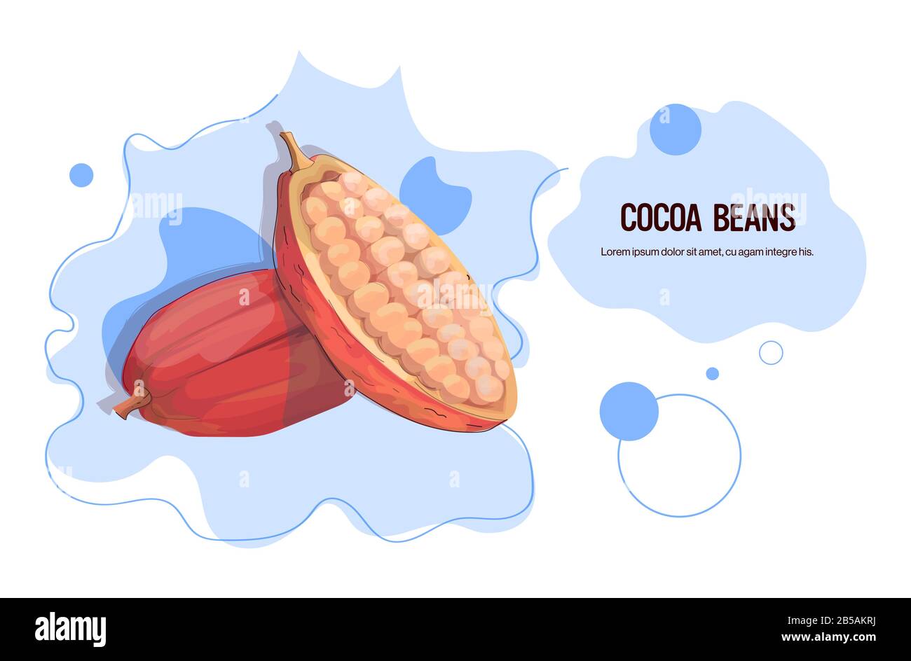 fresh cocoa beans sticker tasty fruit icon healthy food concept ...