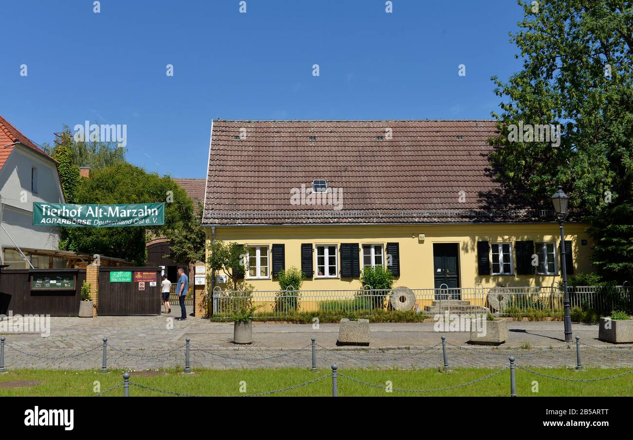 Tierhof, Alt-Marzhan, Marzahn, Berlin, Deutschland Stock Photo - Alamy
