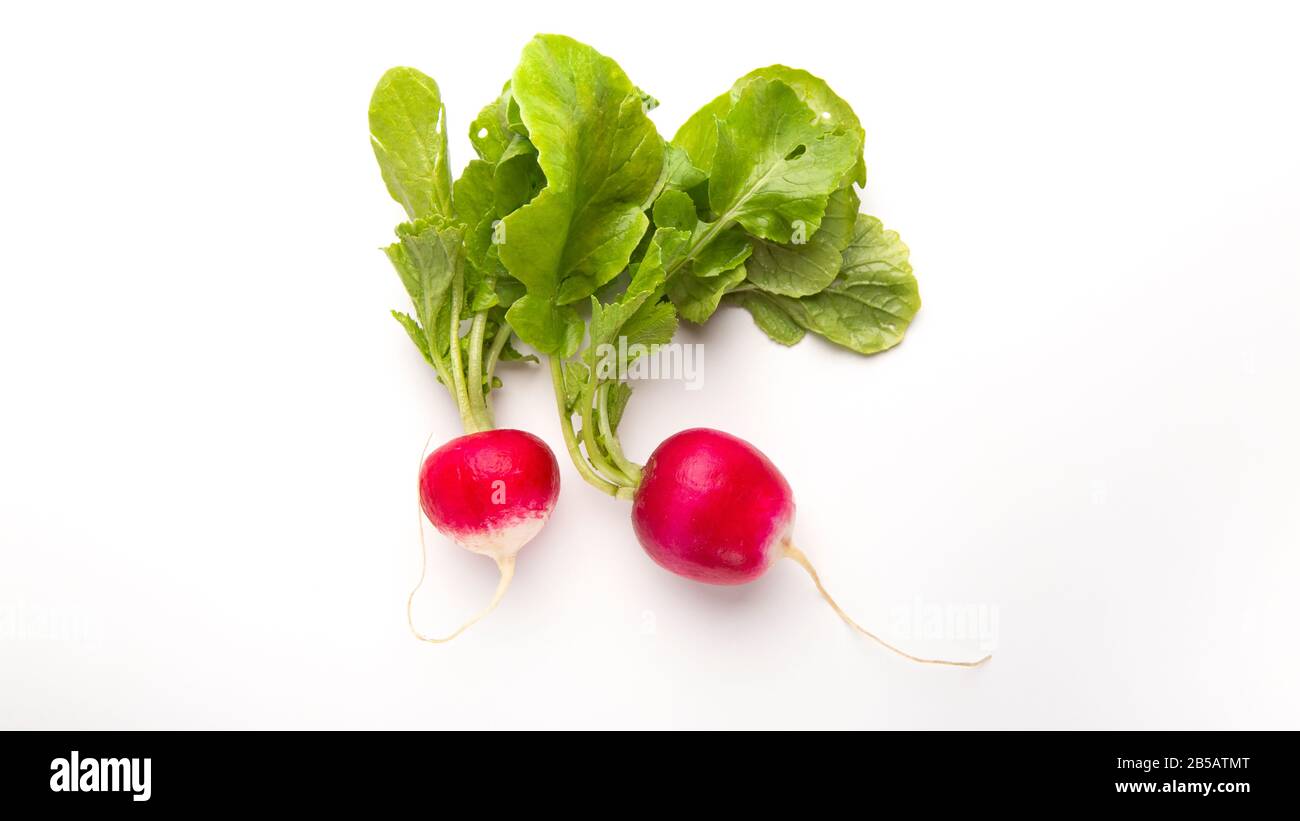 Vegetables from farm. Bright red radishes on white background Stock ...