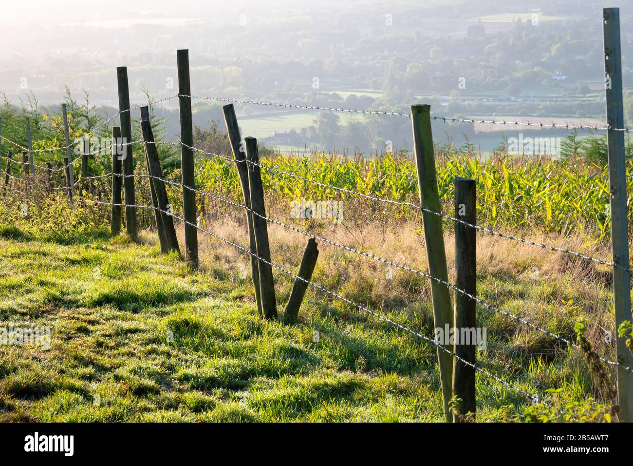 English field fence hi-res stock photography and images - Alamy
