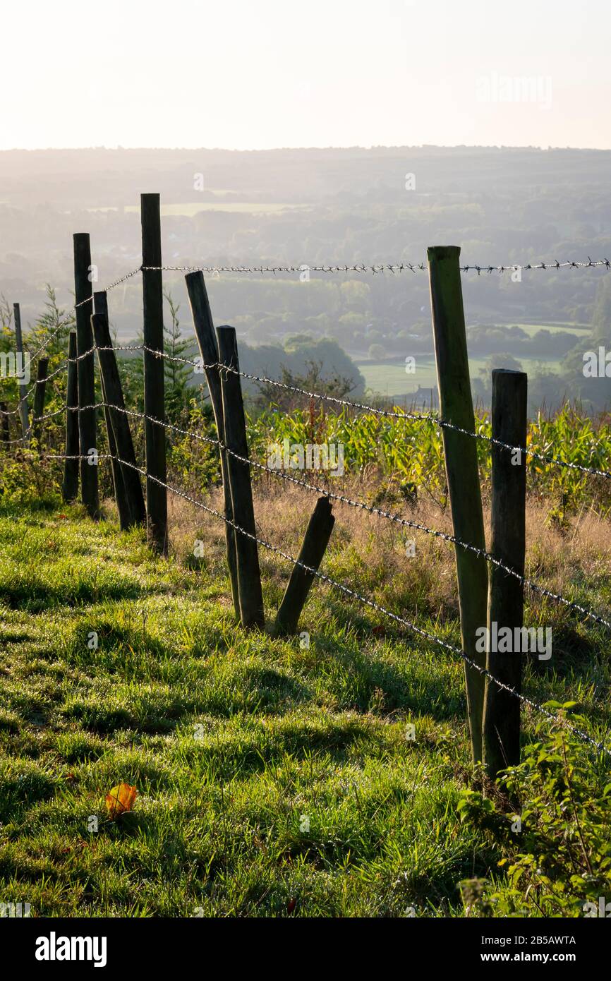English field fence hi-res stock photography and images - Alamy