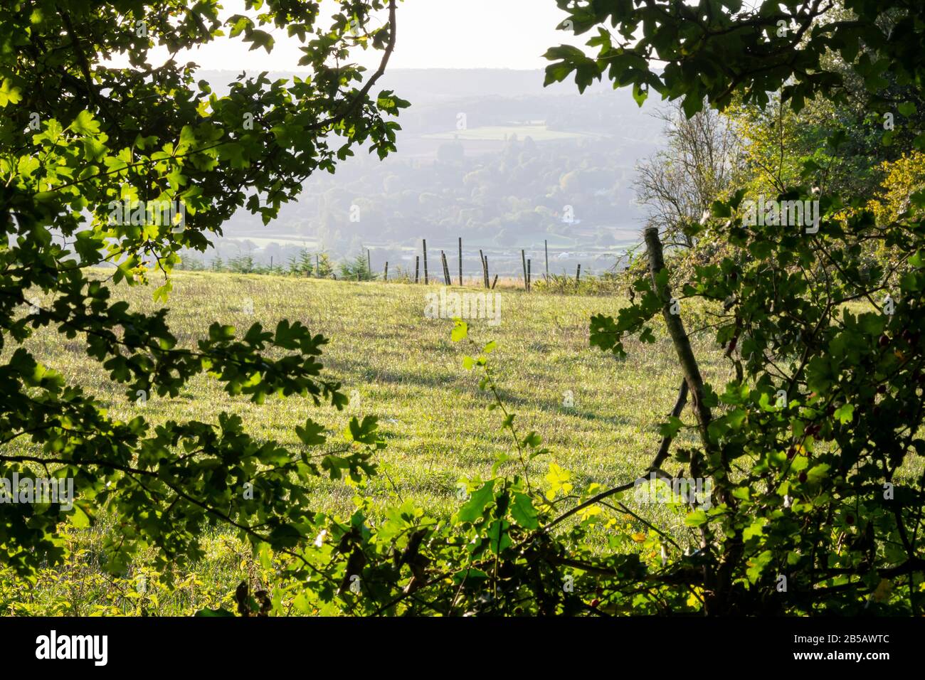 Gap in the hedge hi-res stock photography and images - Alamy