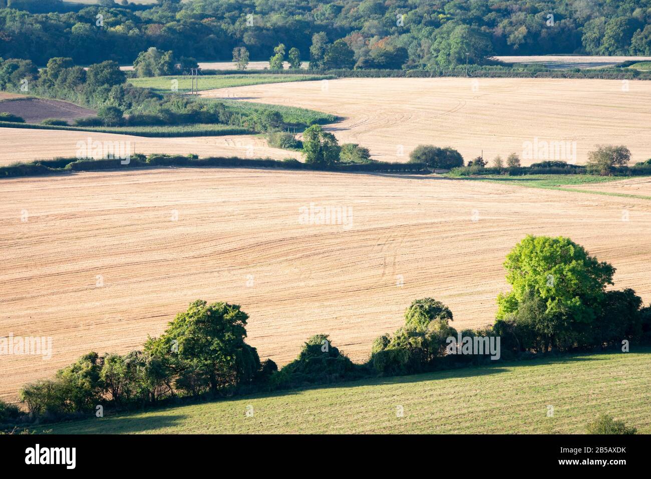 Fields of corn stubble, near Westerham, Kent, England Stock Photo - Alamy