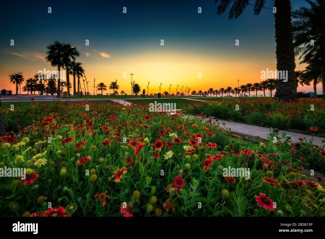 Al khobar skyline hi-res stock photography and images - Alamy