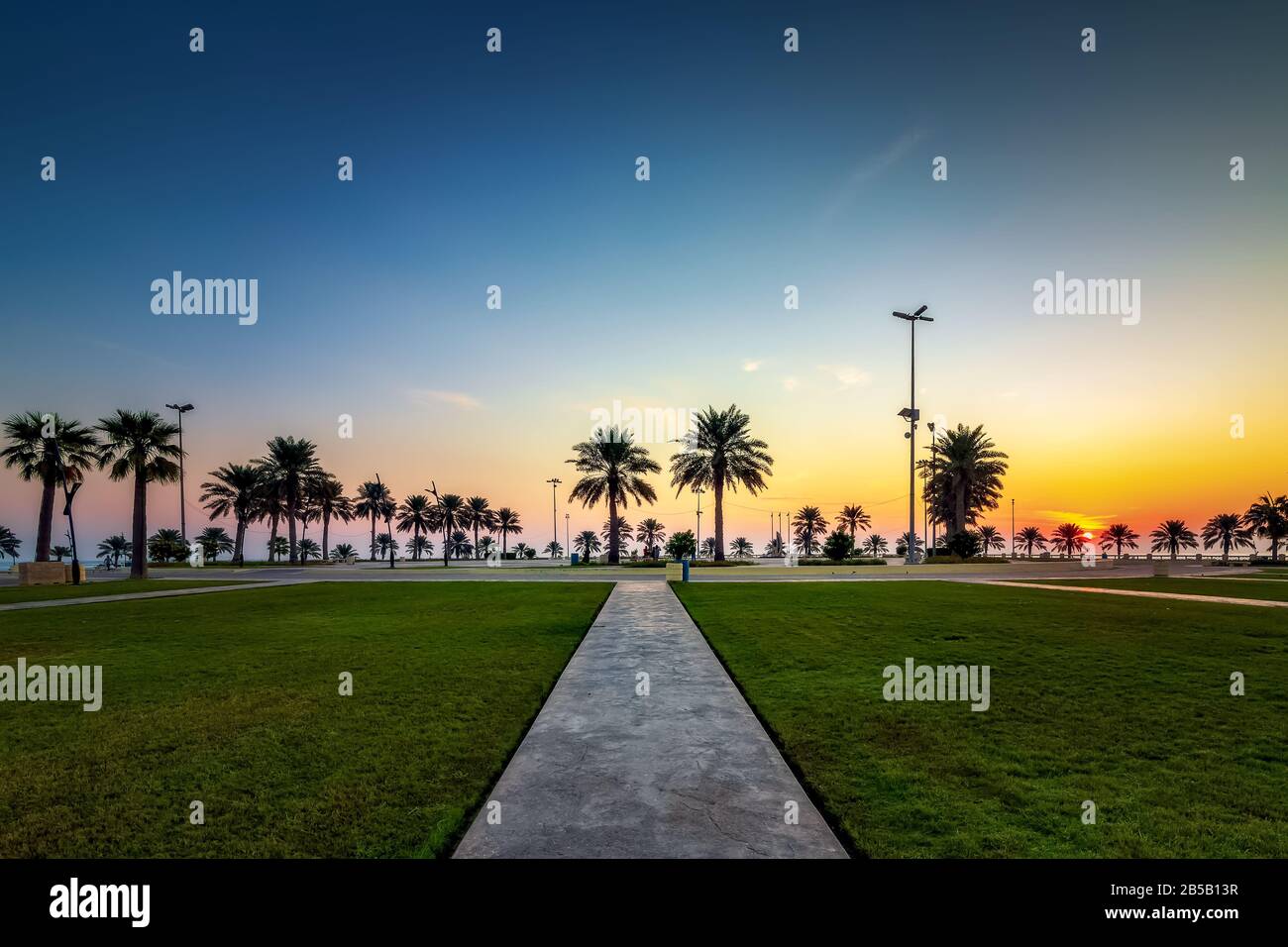 Al khobar plant hi-res stock photography and images - Alamy