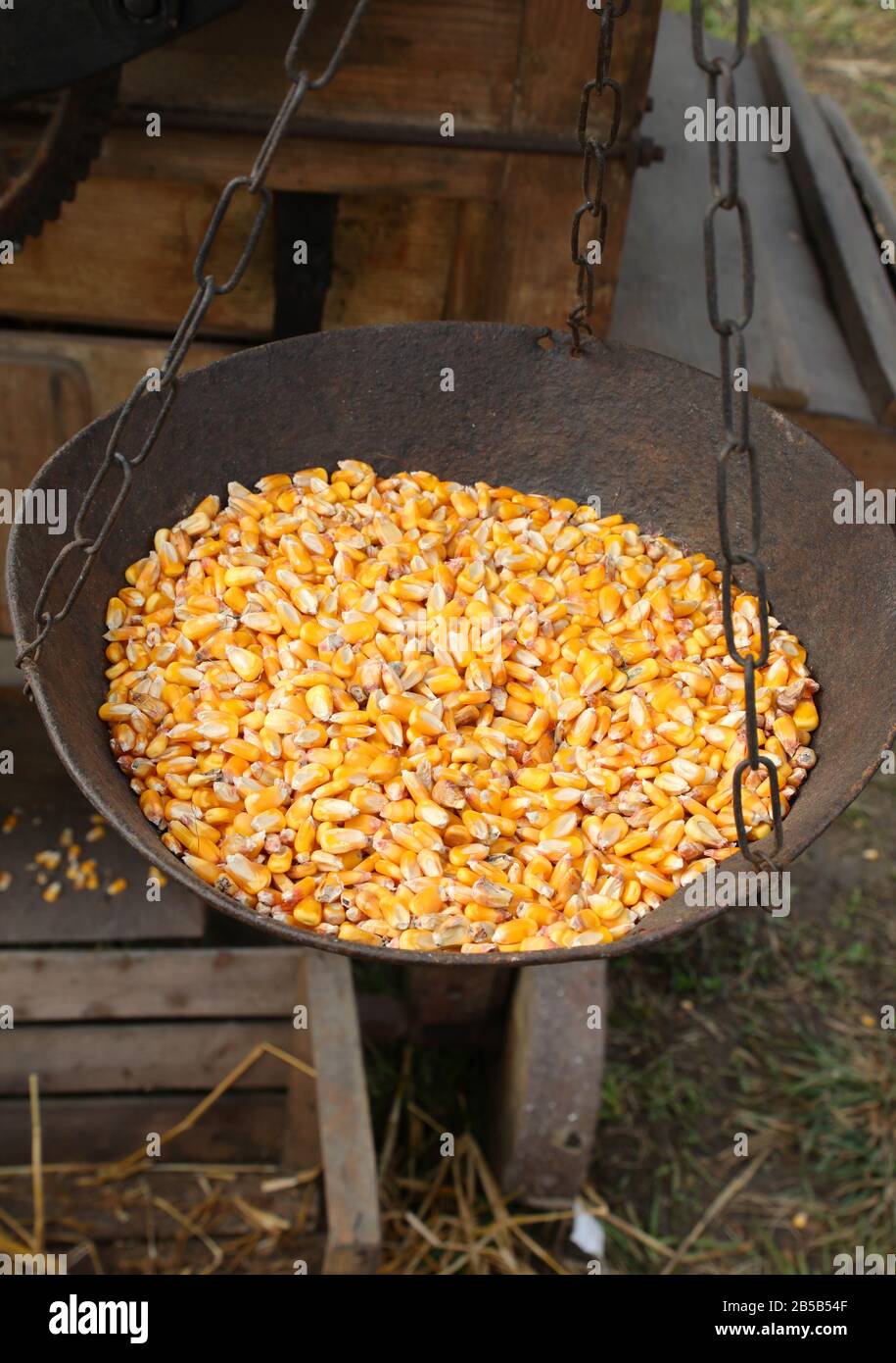 corn kernels in an old rusty weighing scale Stock Photo - Alamy