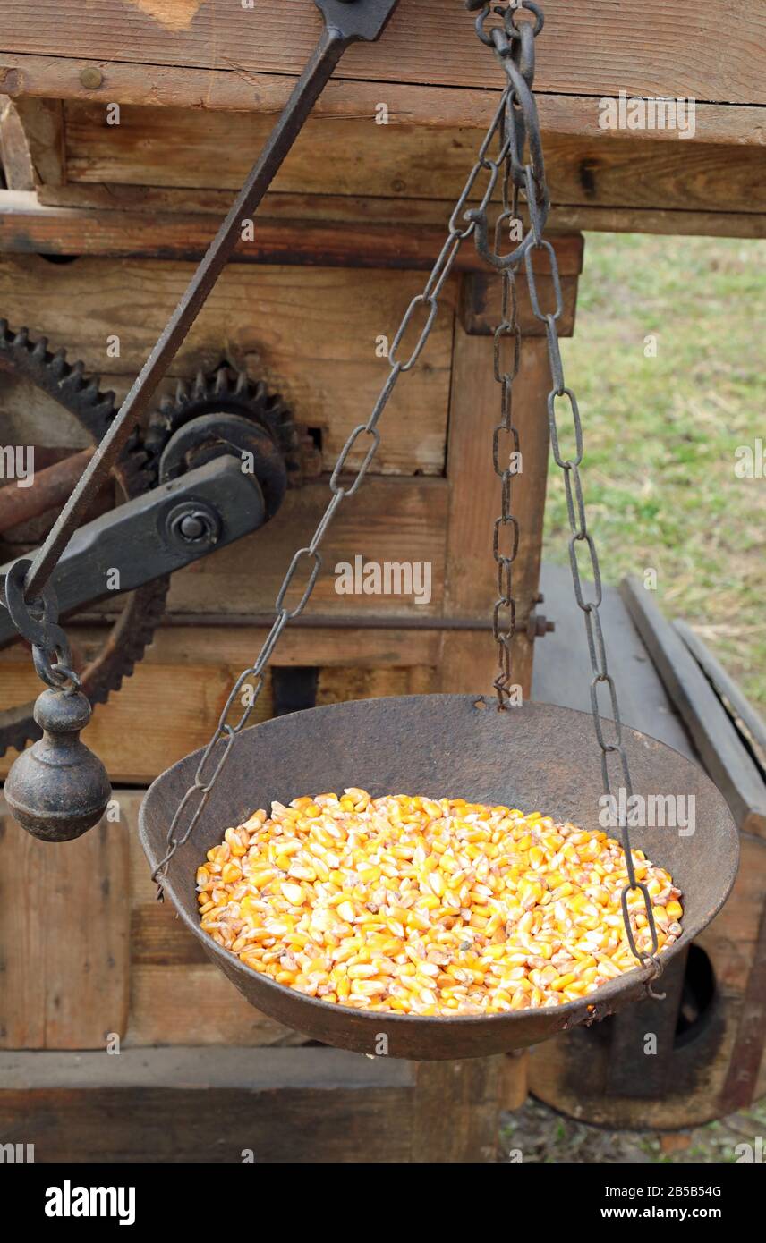 corn kernels in an old rusty weighing scale Stock Photo - Alamy