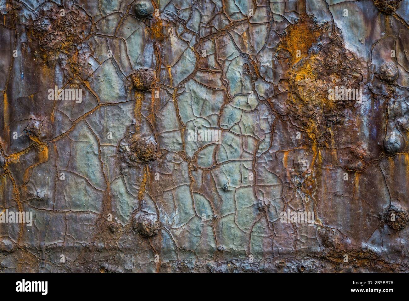 Close up view of rust patterns on the gate of Titanic's Dry Dock ...
