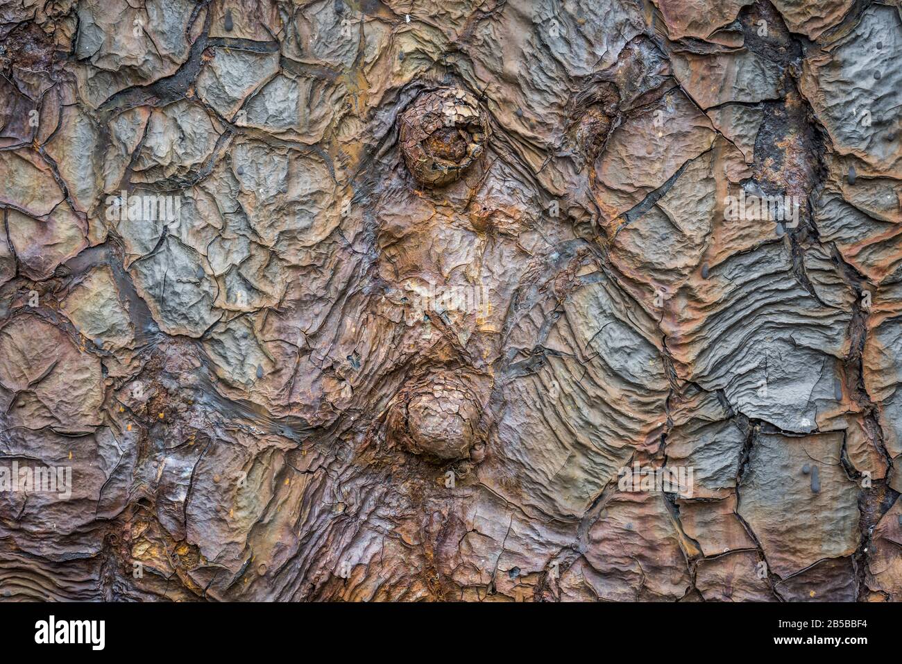 Close up view of rust patterns on the gate of Titanic's Dry Dock ...