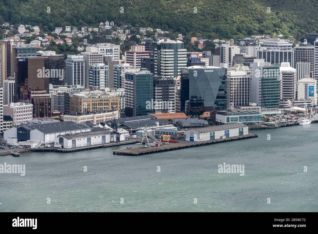 WELLINGTON, NEW ZEALAND - November 13 2019: aerial cityscape with ...