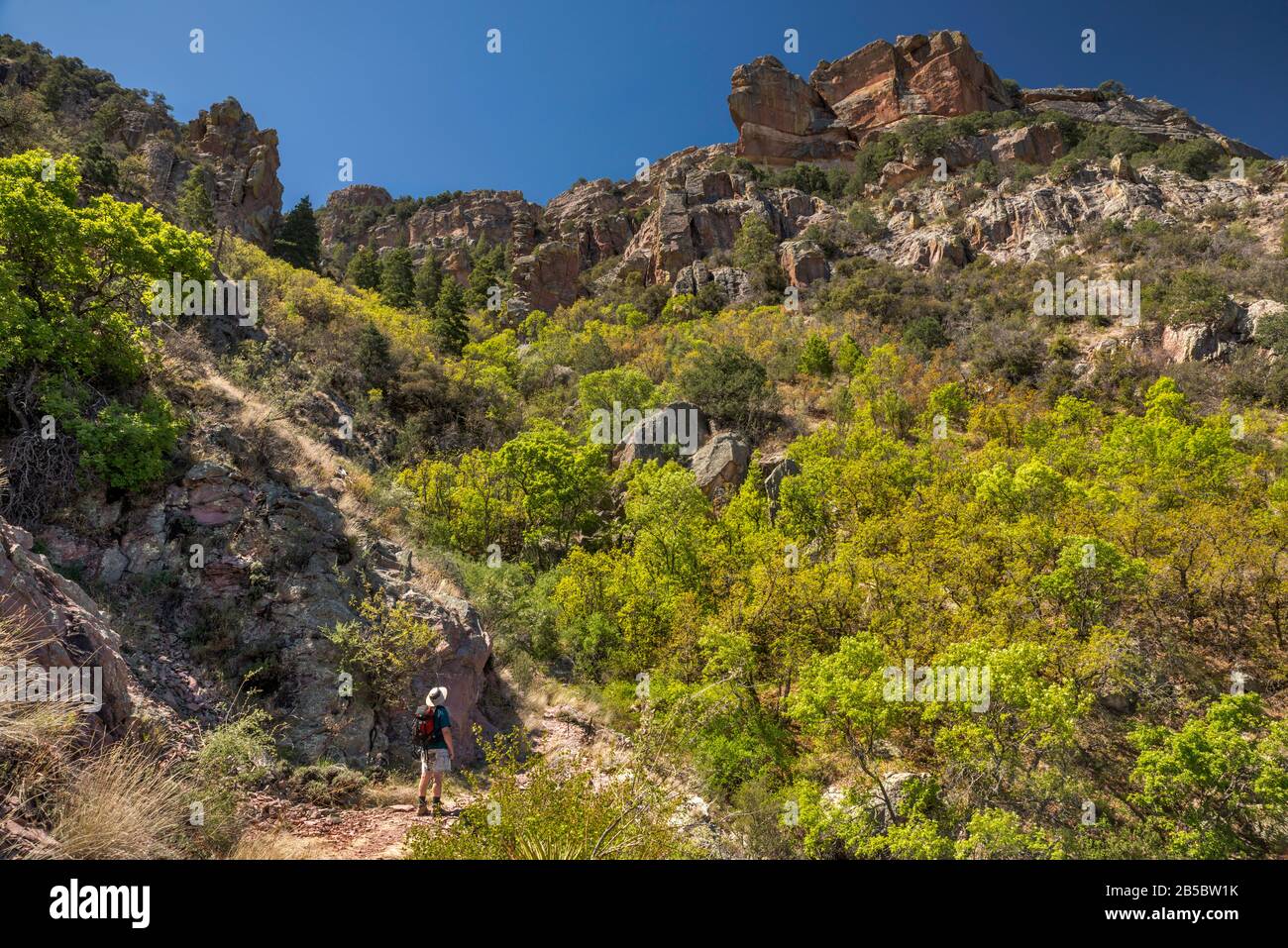 Silver peak wilderness hi-res stock photography and images - Alamy