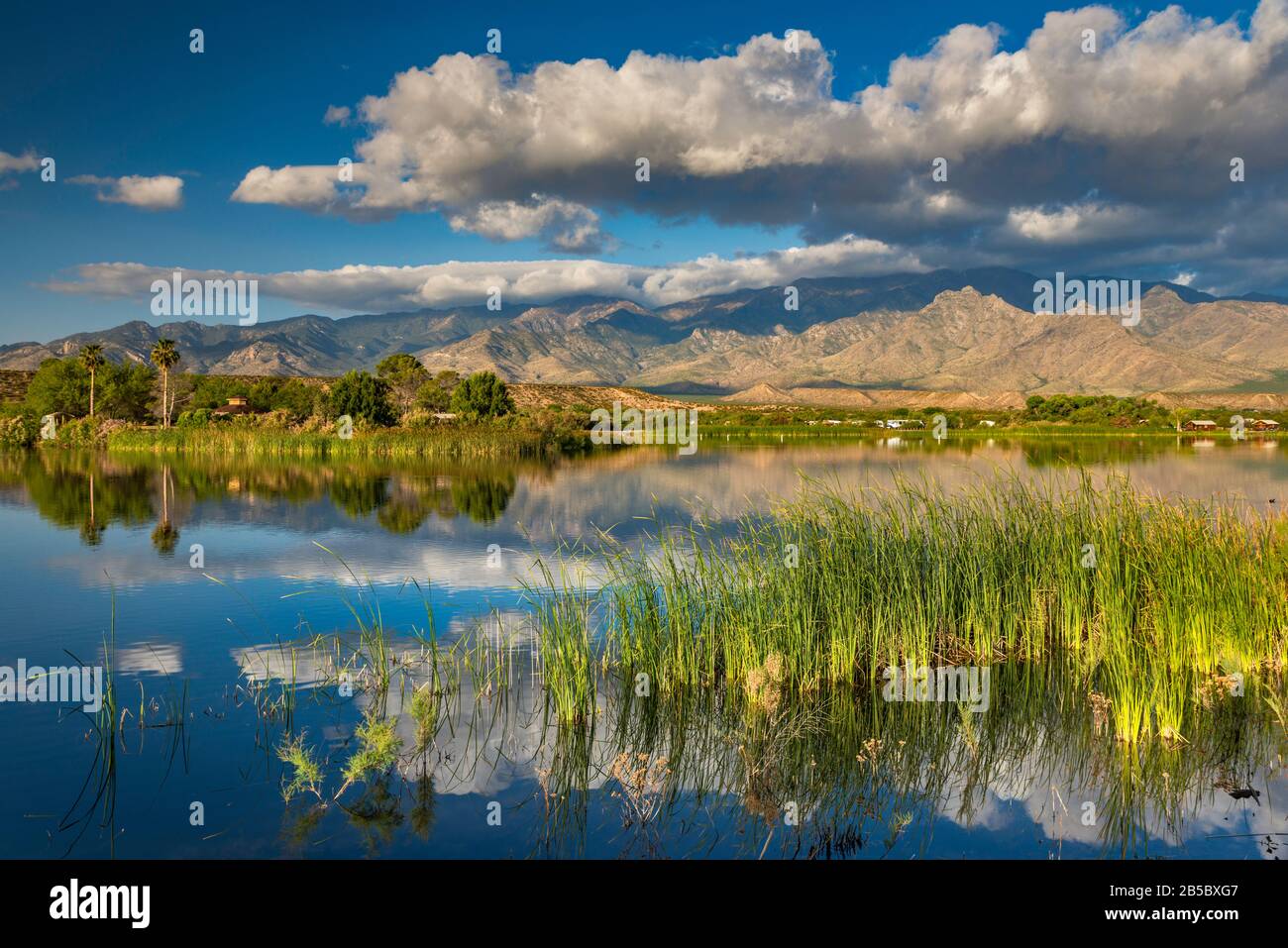 Roper Lake, Pinaleno Mountains in distance, Roper Lake State Park, near ...
