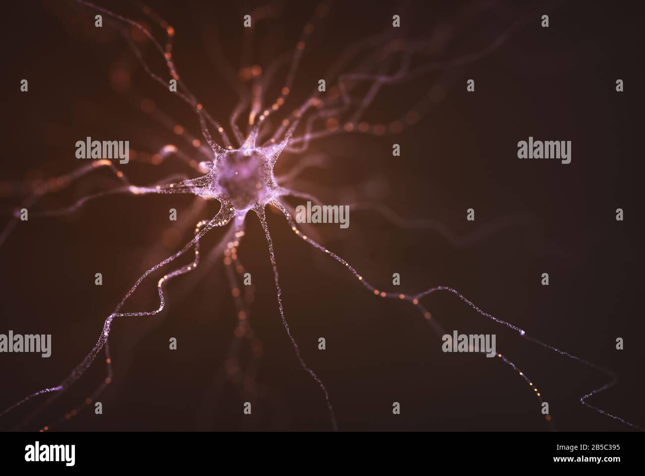 Nerve cell, illustration Stock Photo - Alamy