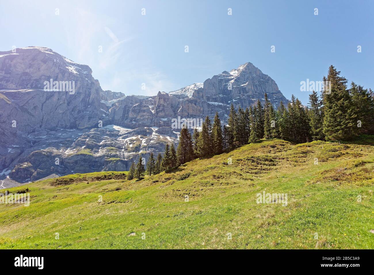 Alpiglen meadows with Scheideggwetterhorn nord face in Reichenbachtal ...