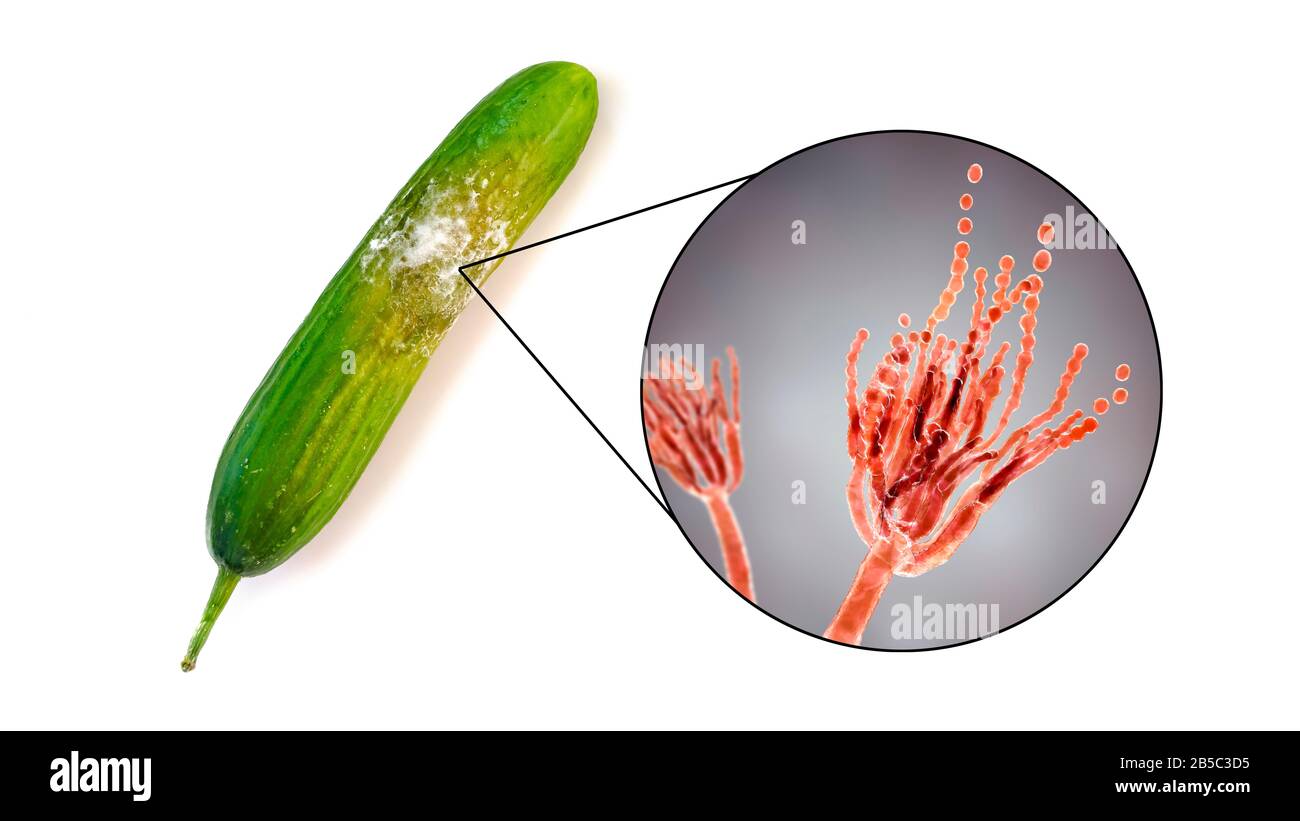 Beta decay hi-res stock photography and images - Alamy