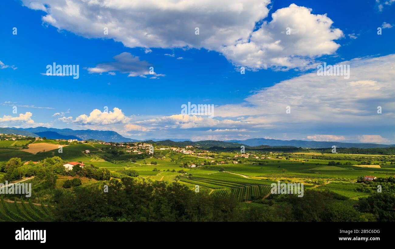 Italy slovenia border vineyard hi-res stock photography and images - Alamy