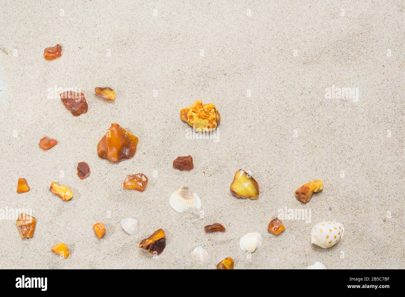 Ancient jewelry shells hi-res stock photography and images - Alamy