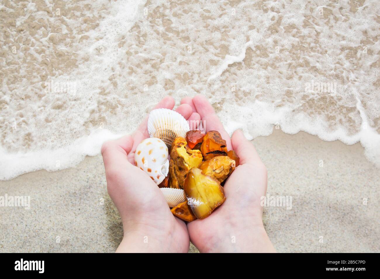 Amberonpalm hi-res stock photography and images - Alamy