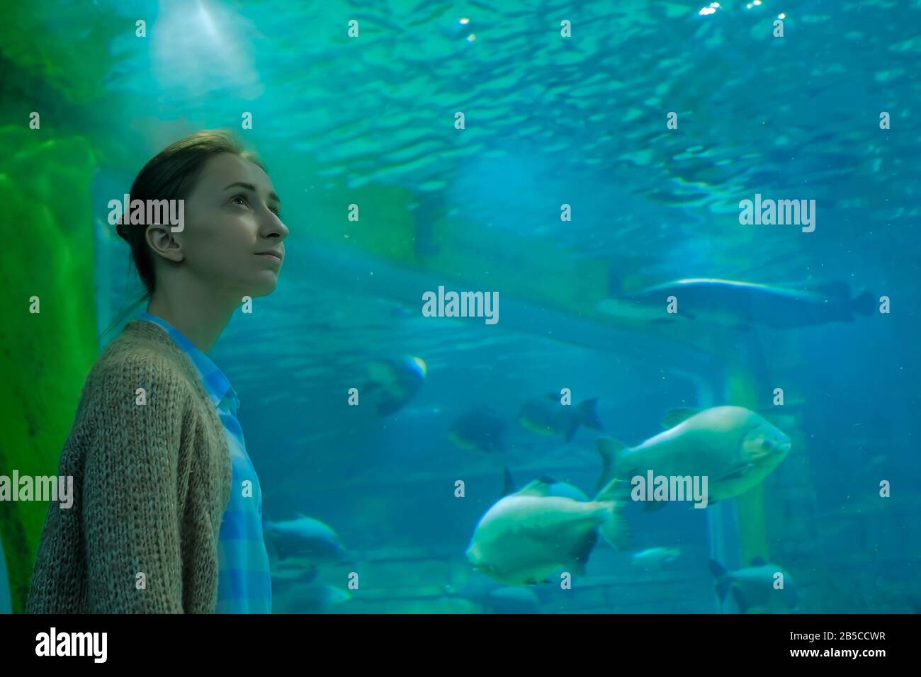 Woman looking at fish in large public aquarium tank at oceanarium Stock ...