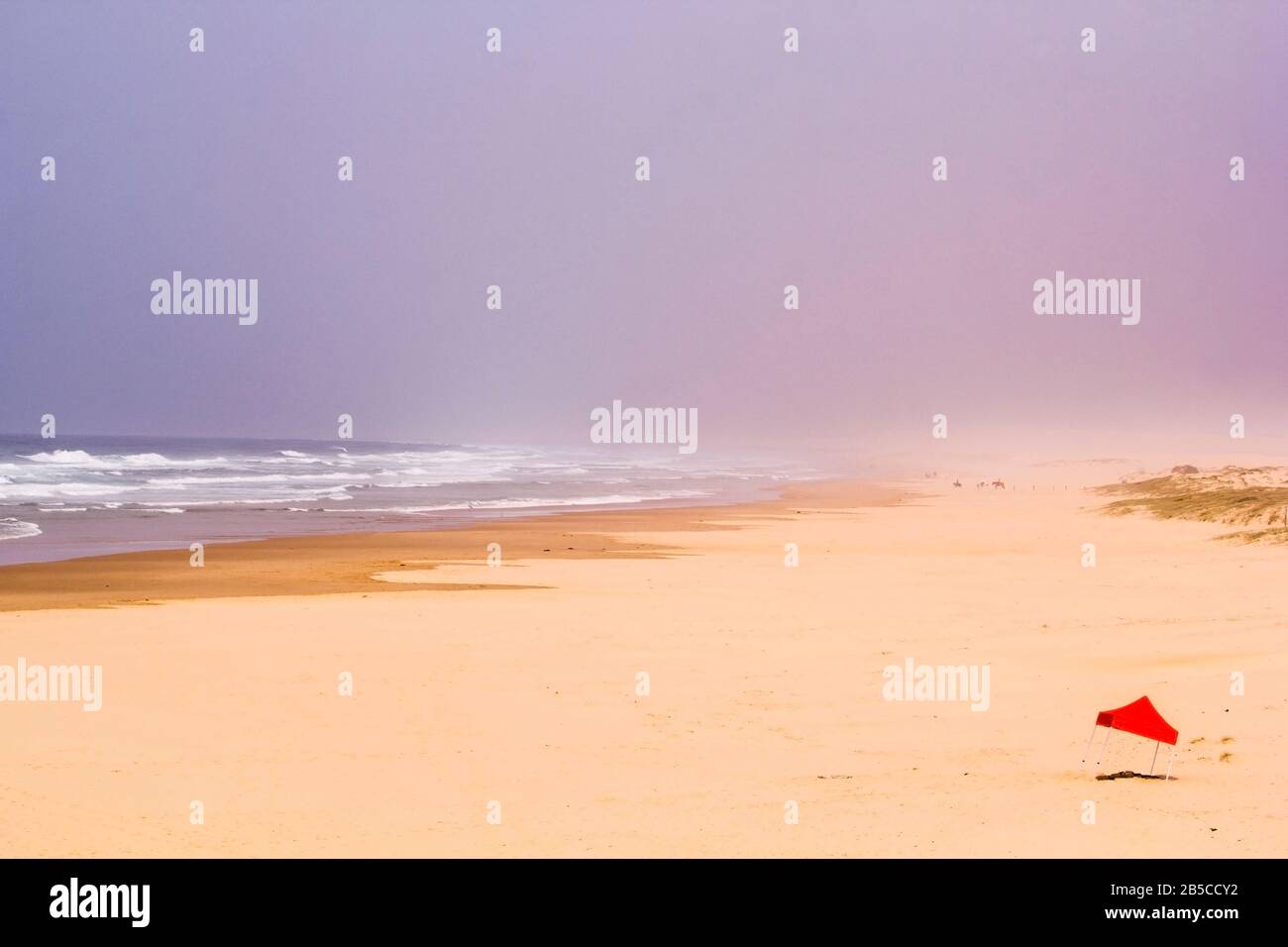Sand dunes in Anna Bay, Port Stephens, New South Wales, Australia Stock ...