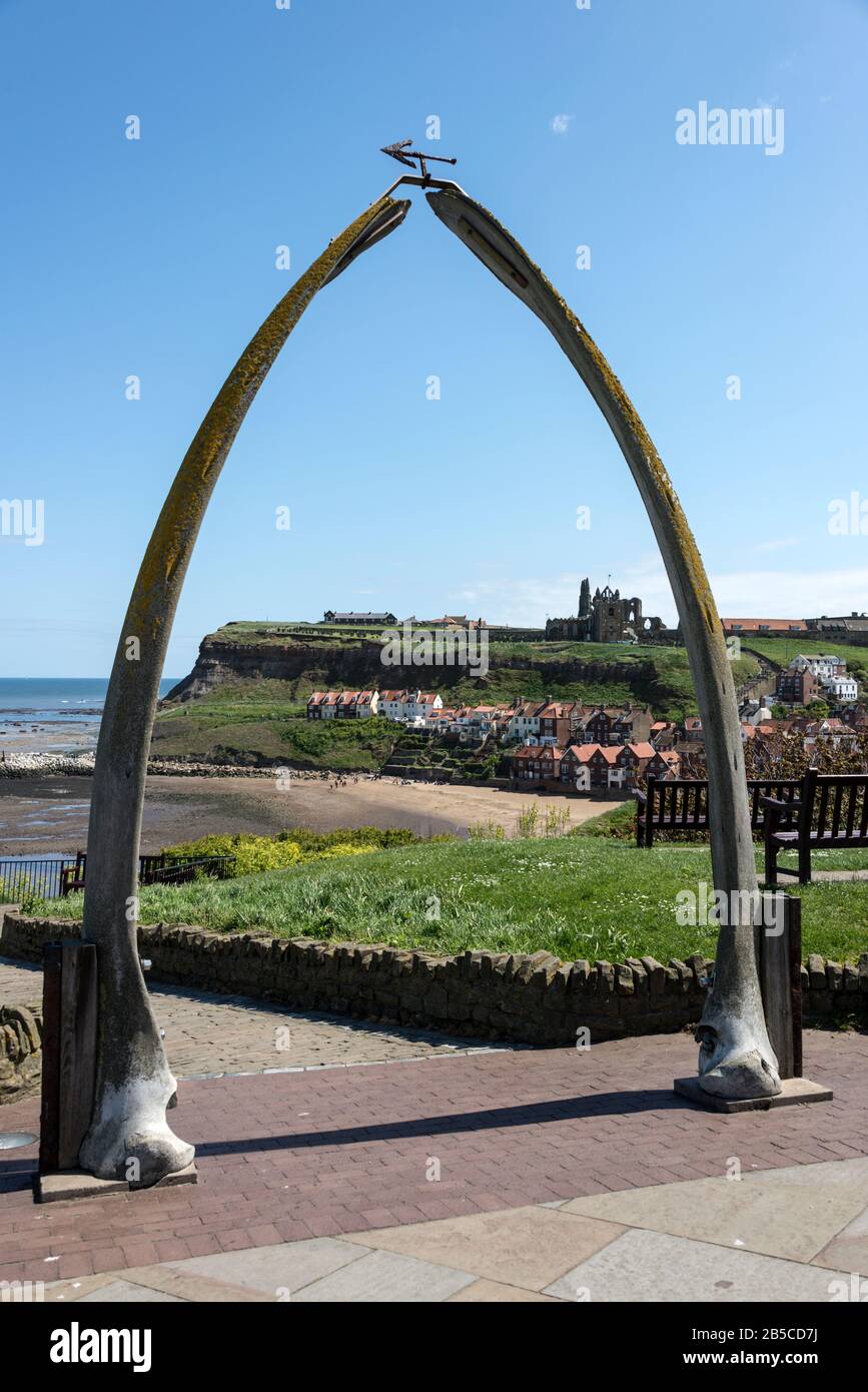 Whitby whale bones hi-res stock photography and images - Alamy