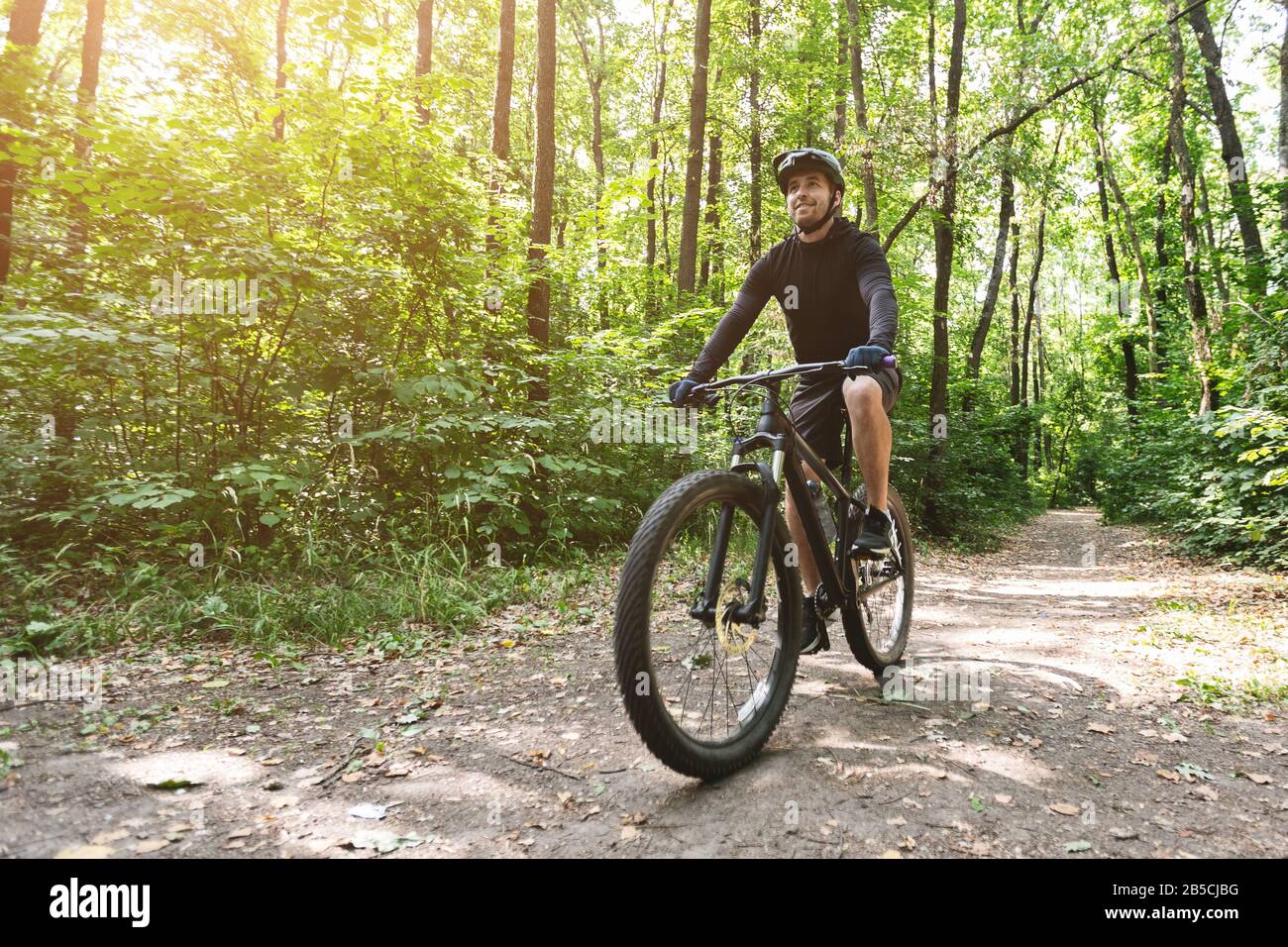 Cycler riding on forest trails in sun light Stock Photo - Alamy