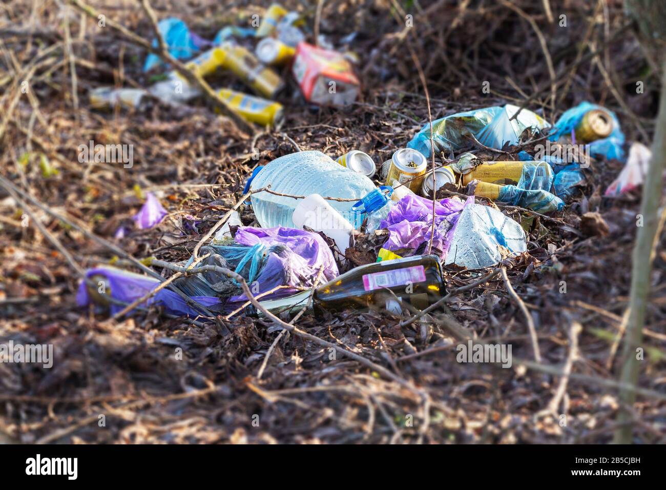 Garbage in the forest. Pollution of the forest with plastic and bottles ...