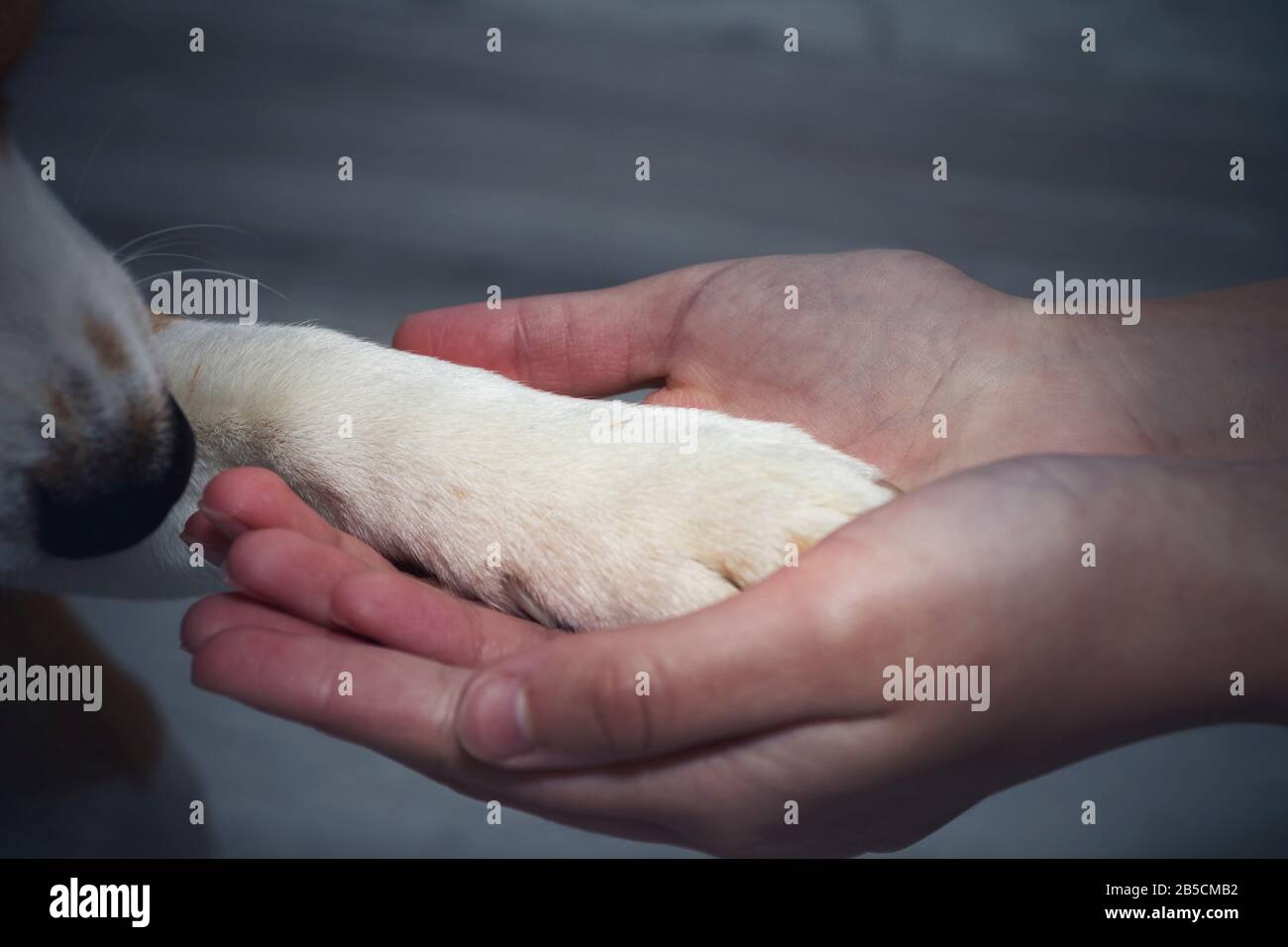 Hand of friendship hi-res stock photography and images - Alamy