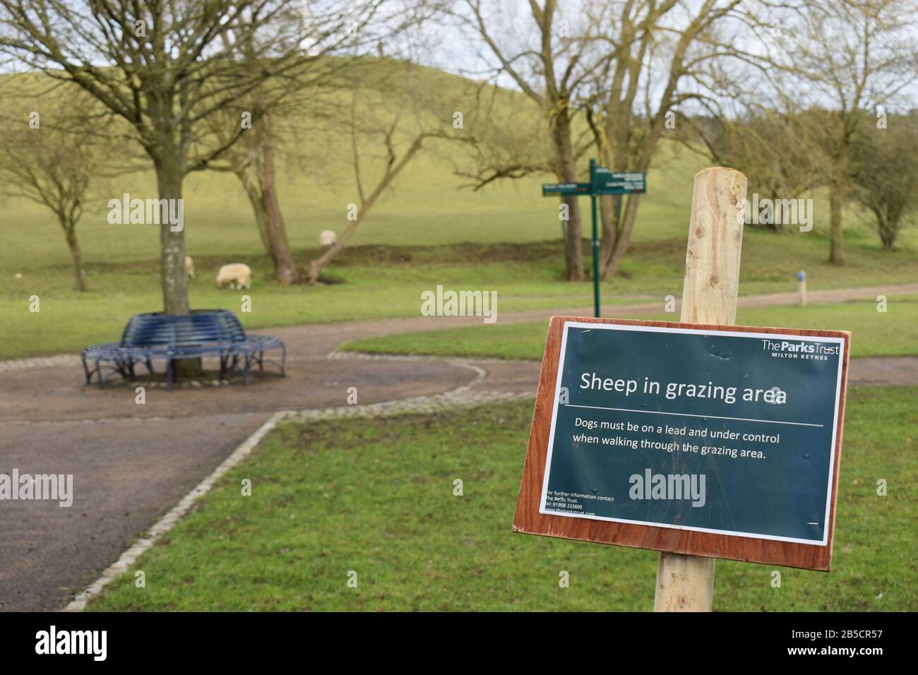 Sheep Grazing Sign High Resolution Stock Photography and Images - Alamy