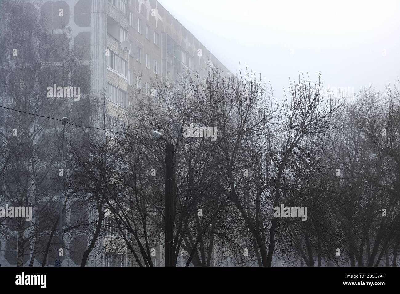 Shadows of tree branches on background of house in fog Stock Photo - Alamy