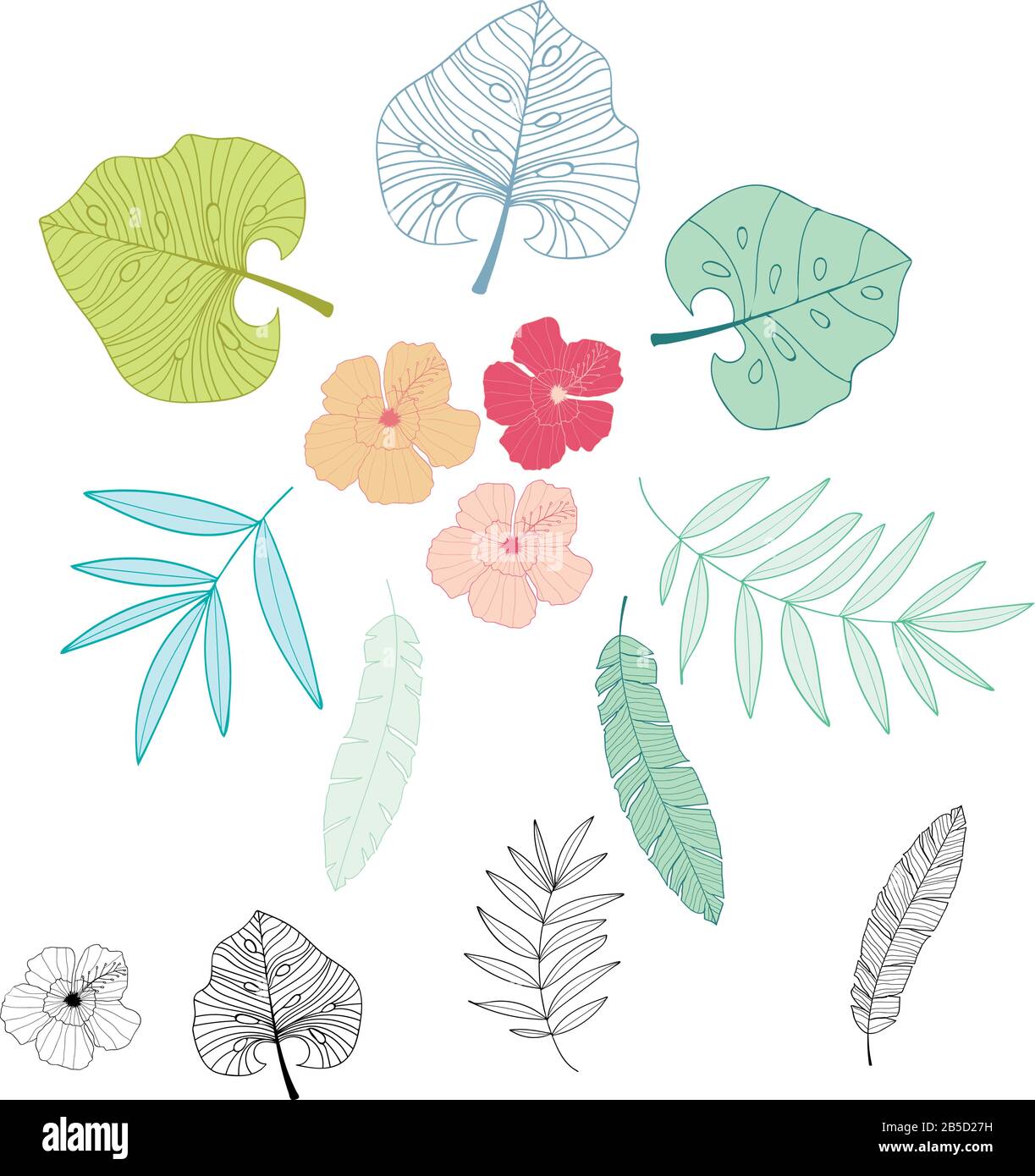 Tropical leaves, floral tropical elements, isolated vector illustration ...