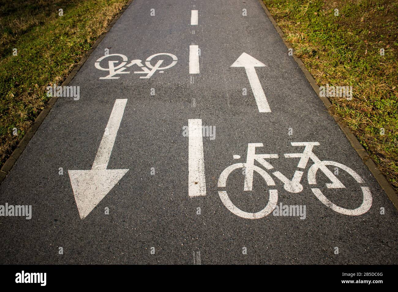 Bicycle track, two-way cycling lanes, painted bicycle symbol on asphalt ...