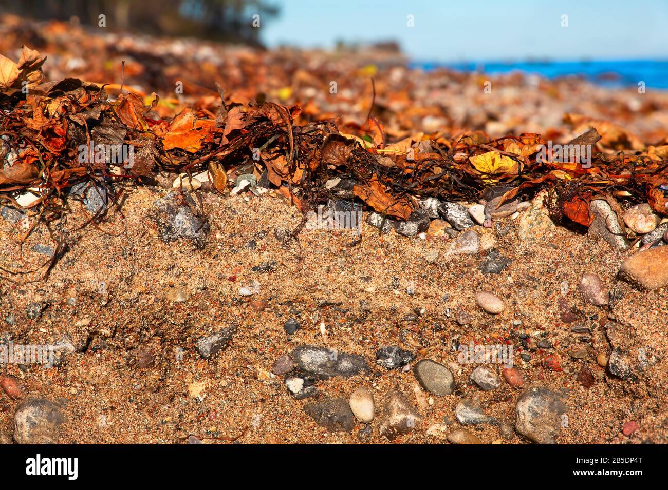 A beach soil formed from pebble stones and sand on the isle of Fehmarn ...
