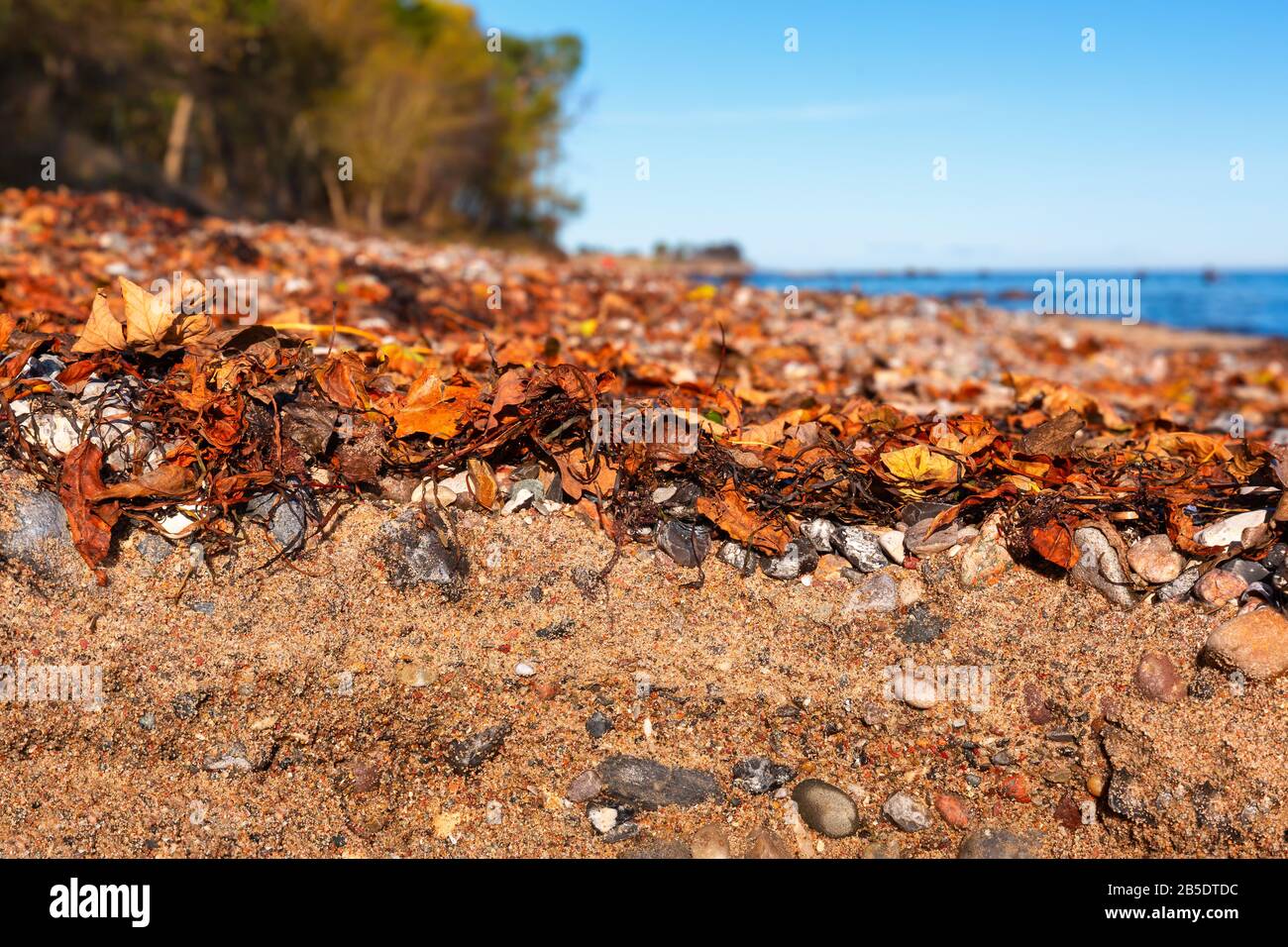 A beach soil formed from pebble stones and sand on the isle of Fehmarn ...