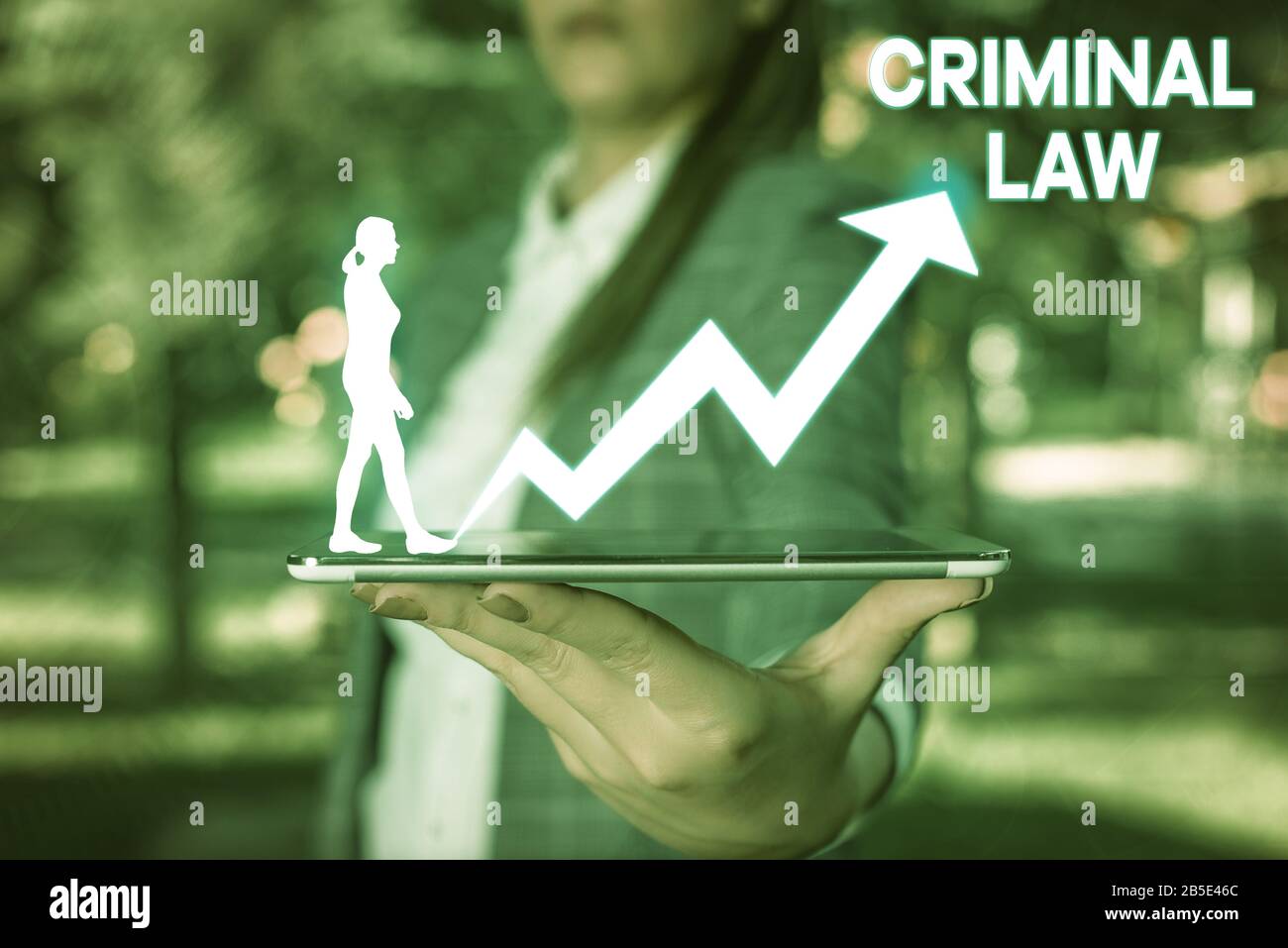 Handwriting text Criminal Law. Conceptual photo legal system which ...