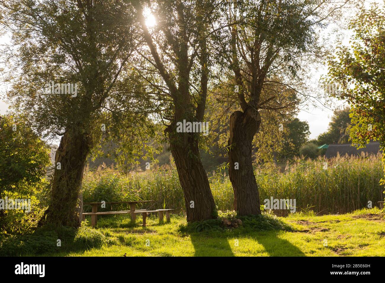 Mustin hi-res stock photography and images - Alamy